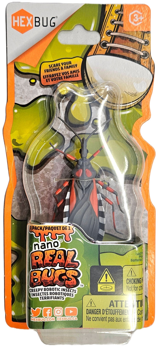 HEXBUG Nano Real Bugs Serie - Single - Stick Insect – Happy Go Lucky