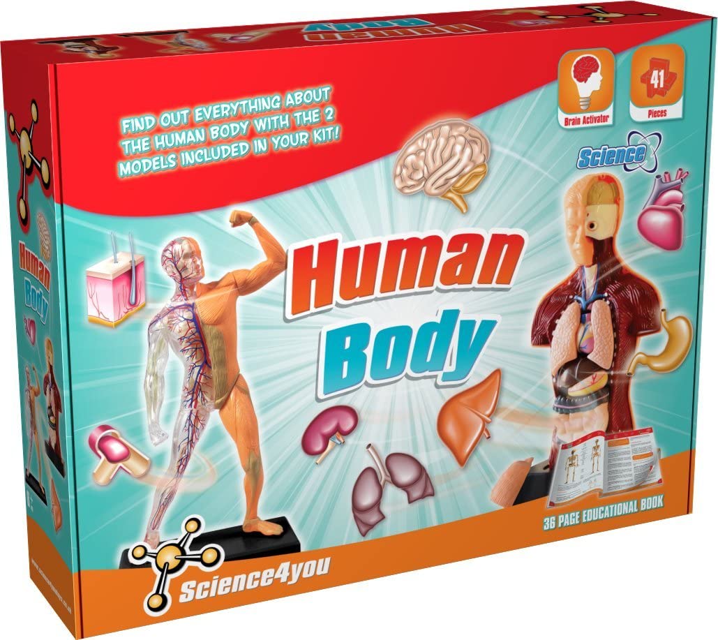 Science4you Human Body Kit – Happy Go Lucky